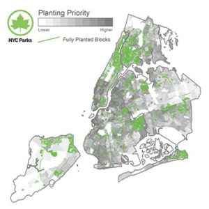 The Power of Trees: Decreasing the Carbon Footprint - Apogeo Spatial