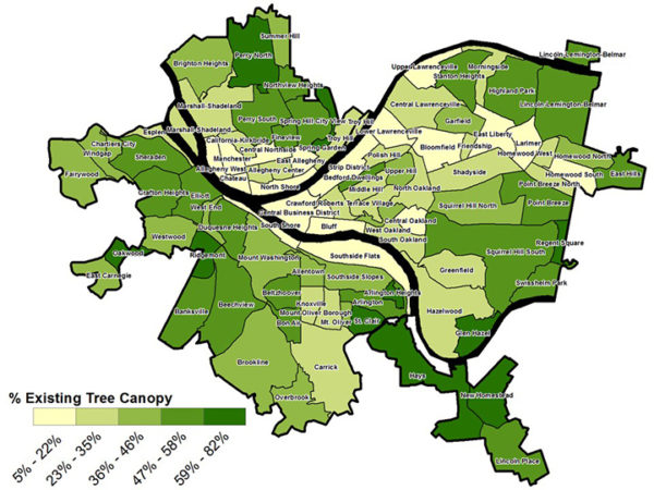 The Power of Trees: Decreasing the Carbon Footprint - Apogeo Spatial